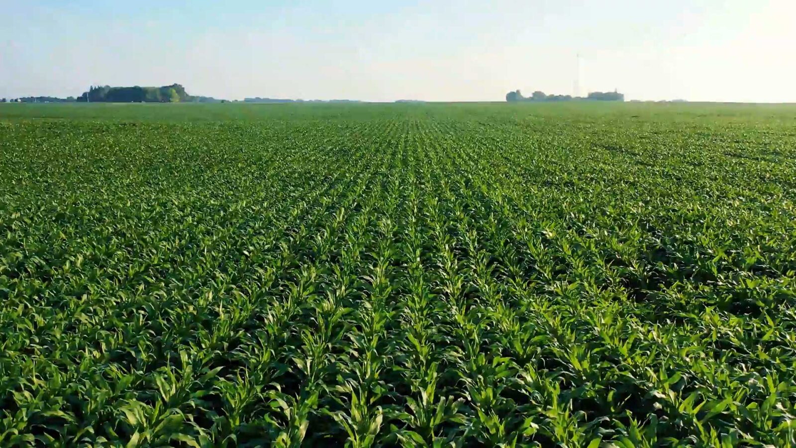Meet the Growers Edge Leadership Team | Growers Edge